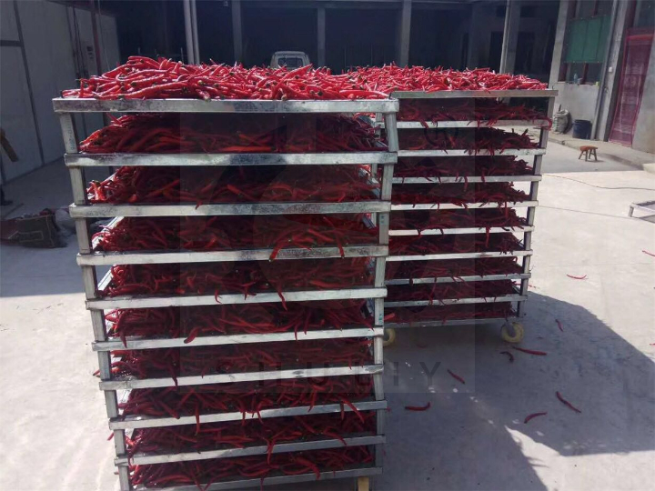 Charcoal Briquette Drying Machine Multi-function Drying Room